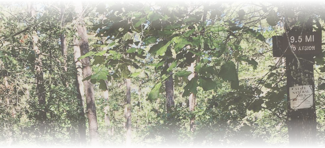 Events - Rachel Bunting