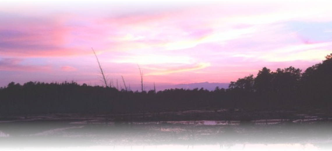 Catalog - Rachel Bunting